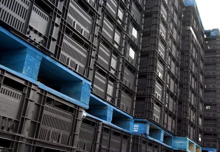 IPP absorbe le gestionnaire de palettes réutilisables Pool Service ...