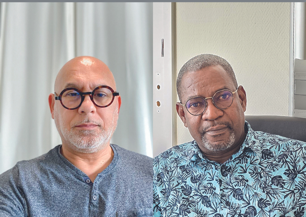 Pourquoi il faut métisser l’accompagnement (Tribune) - ASH | Actualités ...